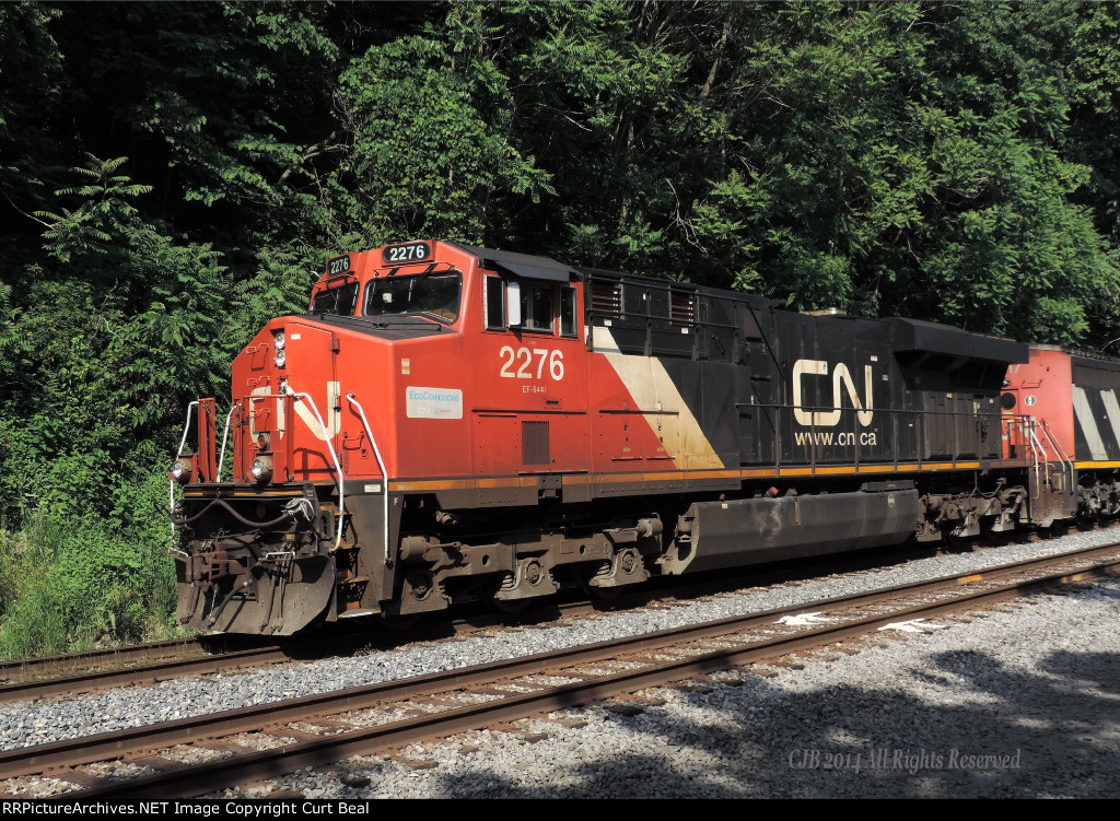 CN 2276